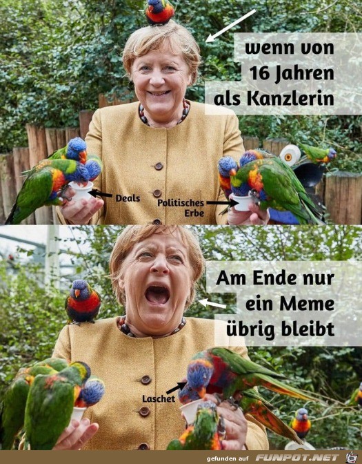 witziges Bild 'Nur ein Meme' - tausende Bilder auf FUNPOT